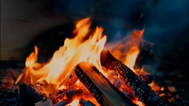 Лебеди вернутся