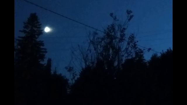 И Бродский  Одиночество #стихиободиночестве #философскаялирика   #поэты20века