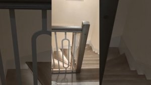 Лестница из дерева с белой подсветкой | lestnicivdome.ru