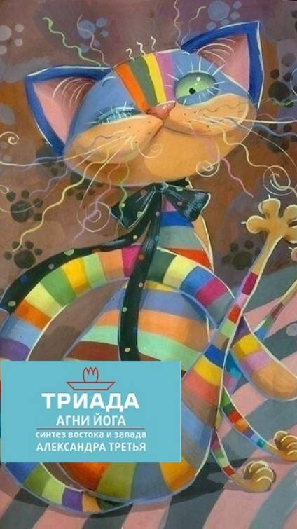 КОШКА И ВЫБРАННАЯ ДОРОЖКА ОТ 2025-01-24