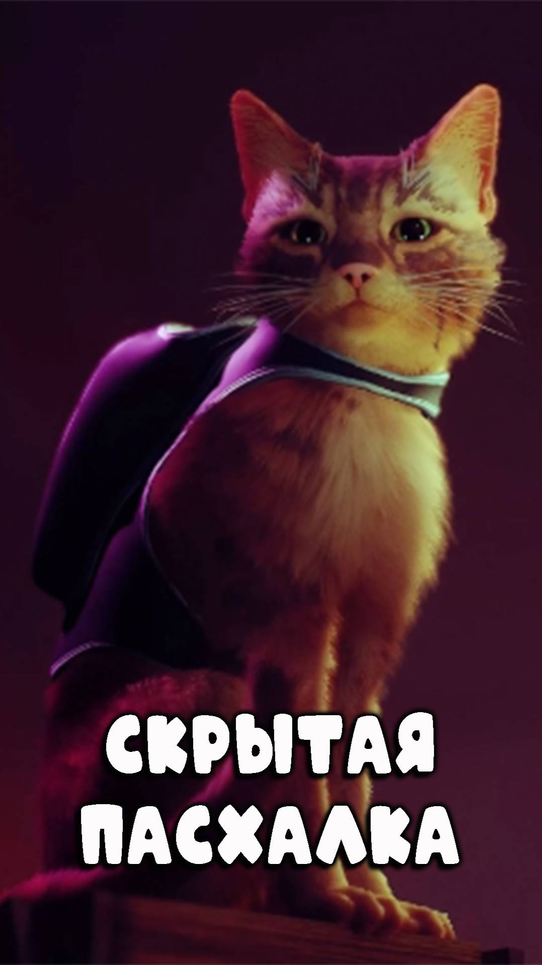 ГОРДОН ФРИМАН попал в STRAY