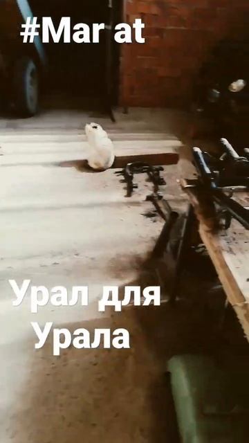 Урал для Урала