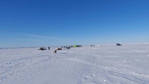 Сижу в палатке , ловлю по тихой зубаря..