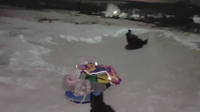 2025-01-08 Наш Сад - Питомцы и веселая горка - HD 1080p