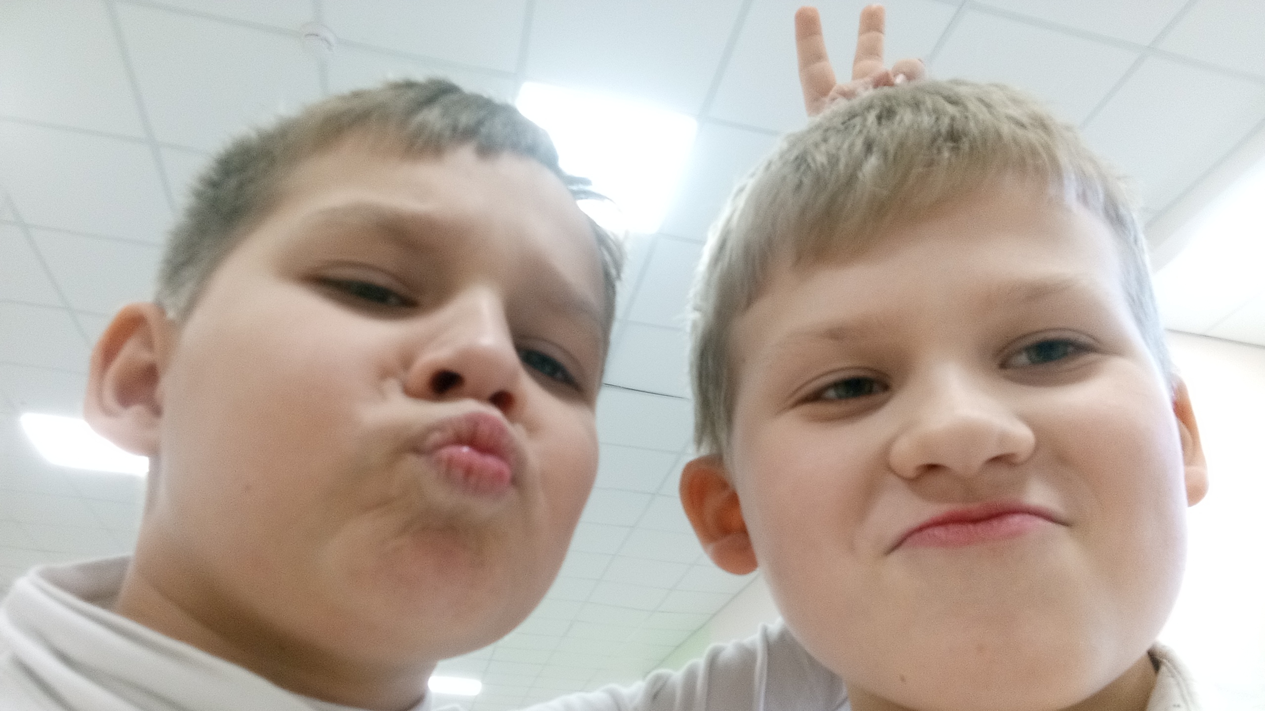 бачком