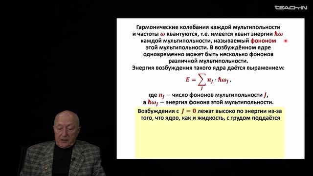 Капитонов И.М. - Физика атомного ядра и частиц - 13. Коллективные возбуждения атомных ядер