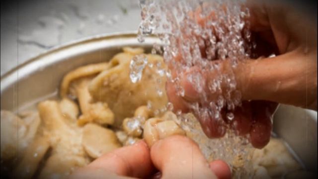 Как хранить вешенки