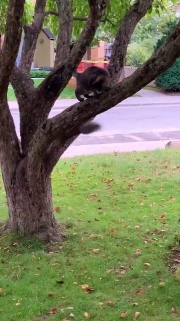 «РОЛЕВЫЕ ИГРЫ»