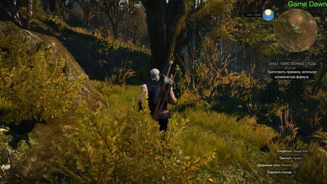 The Witcher 3 Wild Hunt ведьмак 3 Заказ таинственные следы