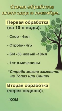 Больной сад .Сентябрь. #shorts