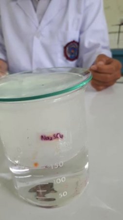 Natrium reacts with water