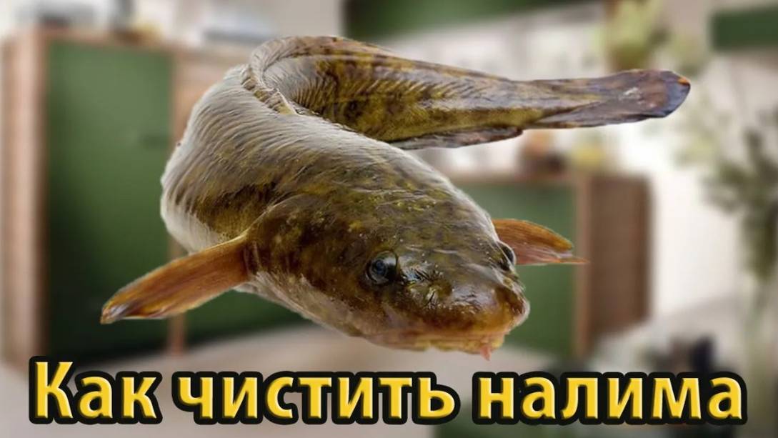 Как чистить налима