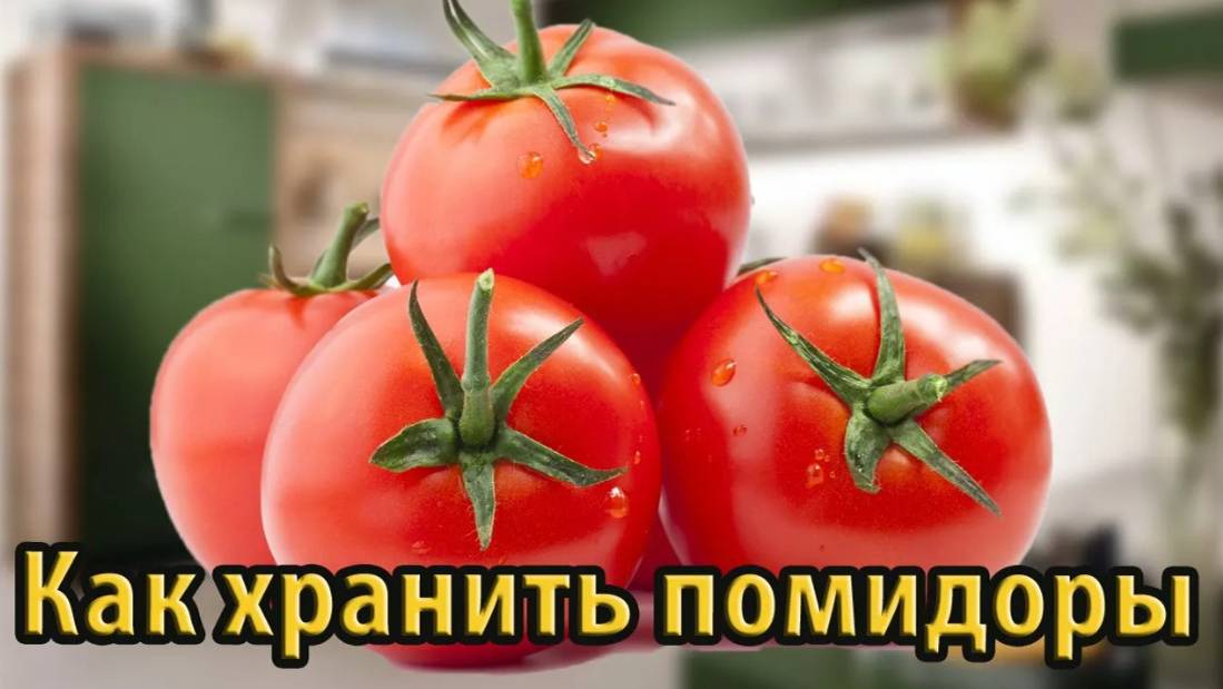 Как хранить помидоры дома