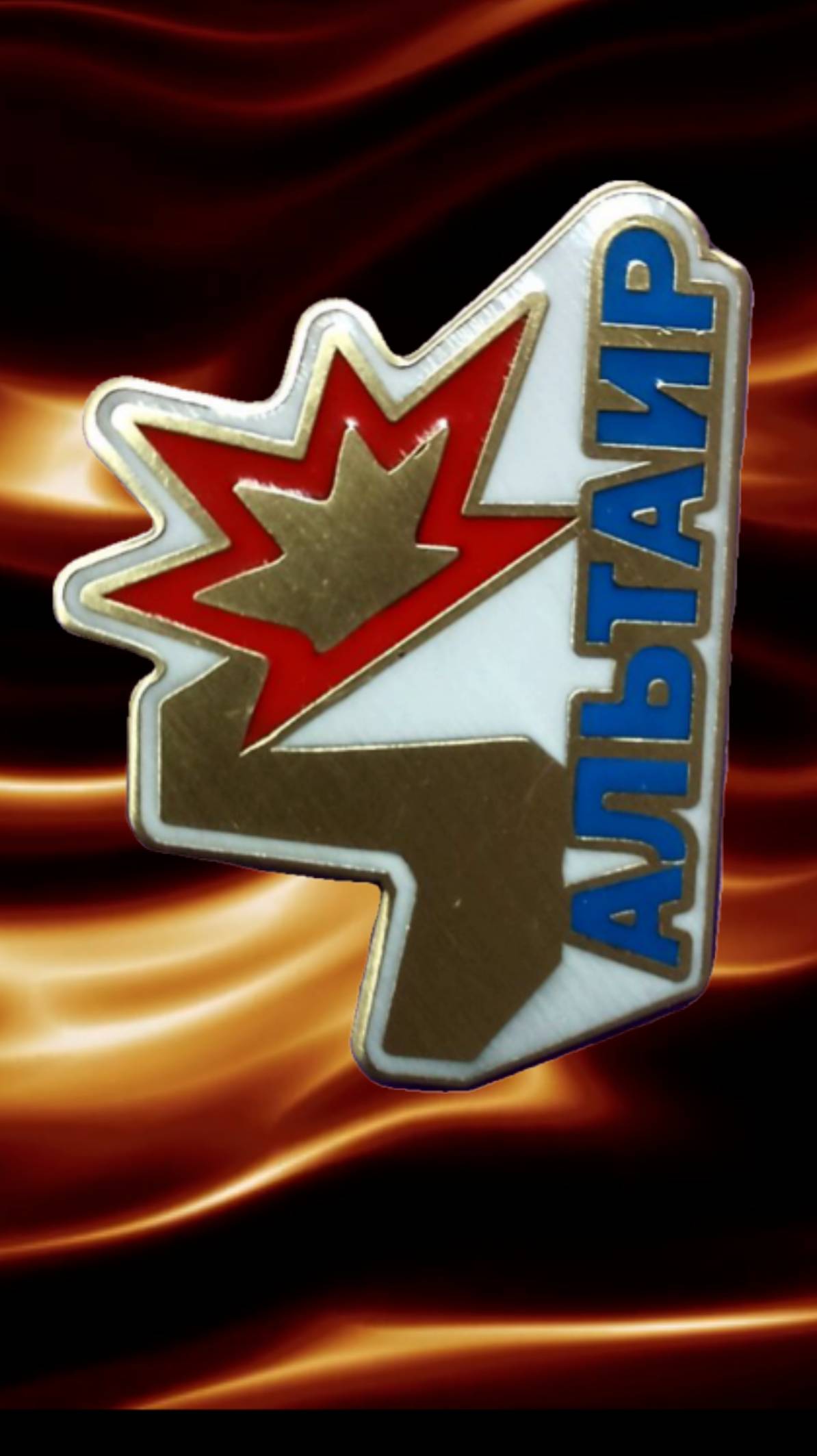 дружина "Альтаир" в студенчестве