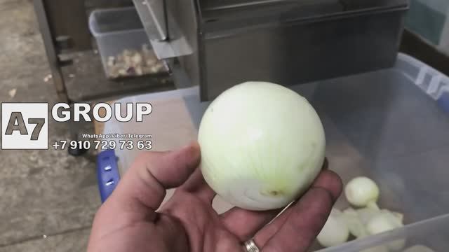Лук крупный: очистка и обрезка #лук #машина #оборудование