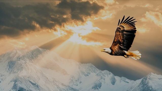 Расскажи мне о любви