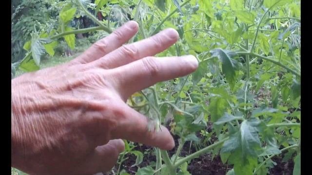 Решил не бросать канал и продолжить делать видео) По многочисленным просьбам подписчиков.