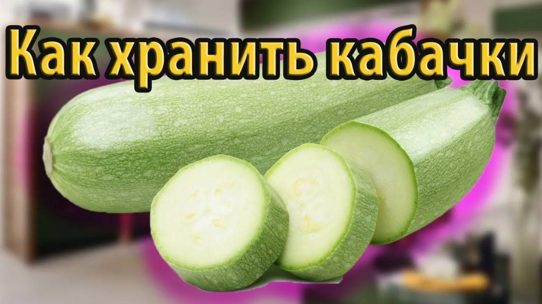 Как хранить кабачки до лета