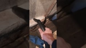 Циклон для строительных пылесосов всех марок