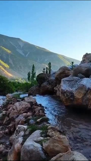 Ах, если б раньше...