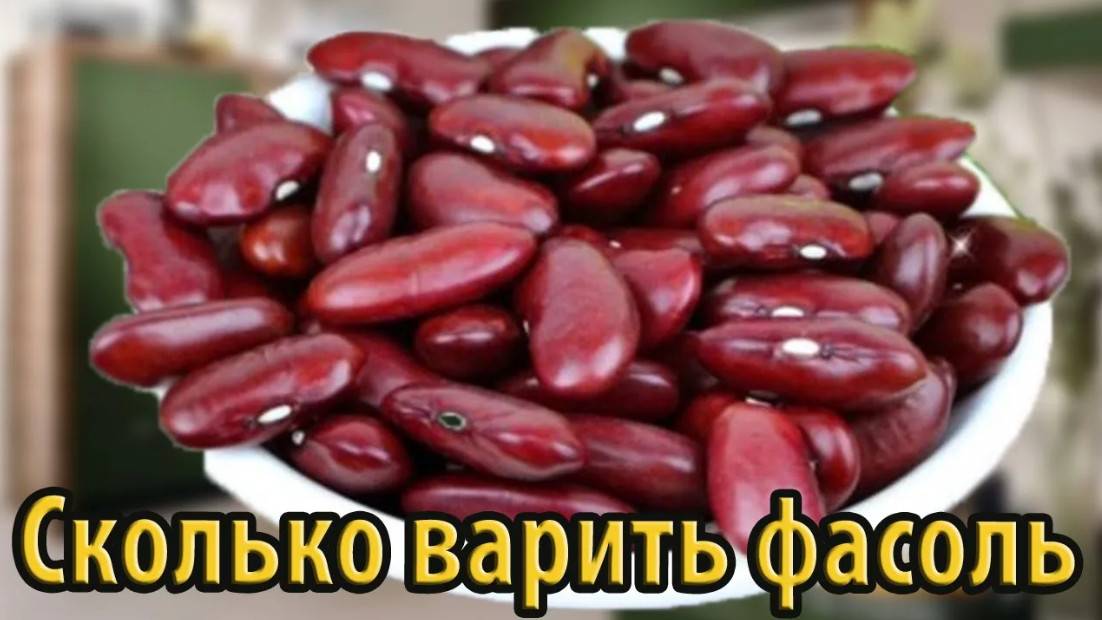 Сколько варить фасоль в кастрюле