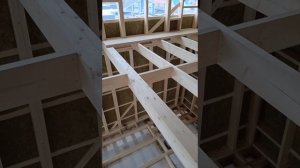 Каркасный дом. Как строить нужно.