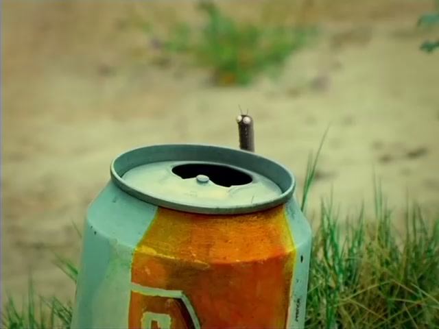1.07 Букашка. Сороконожки