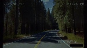 ЧЕМ ДАЛЬШЕ В ЛЕС... (3 серия.) VHS horror