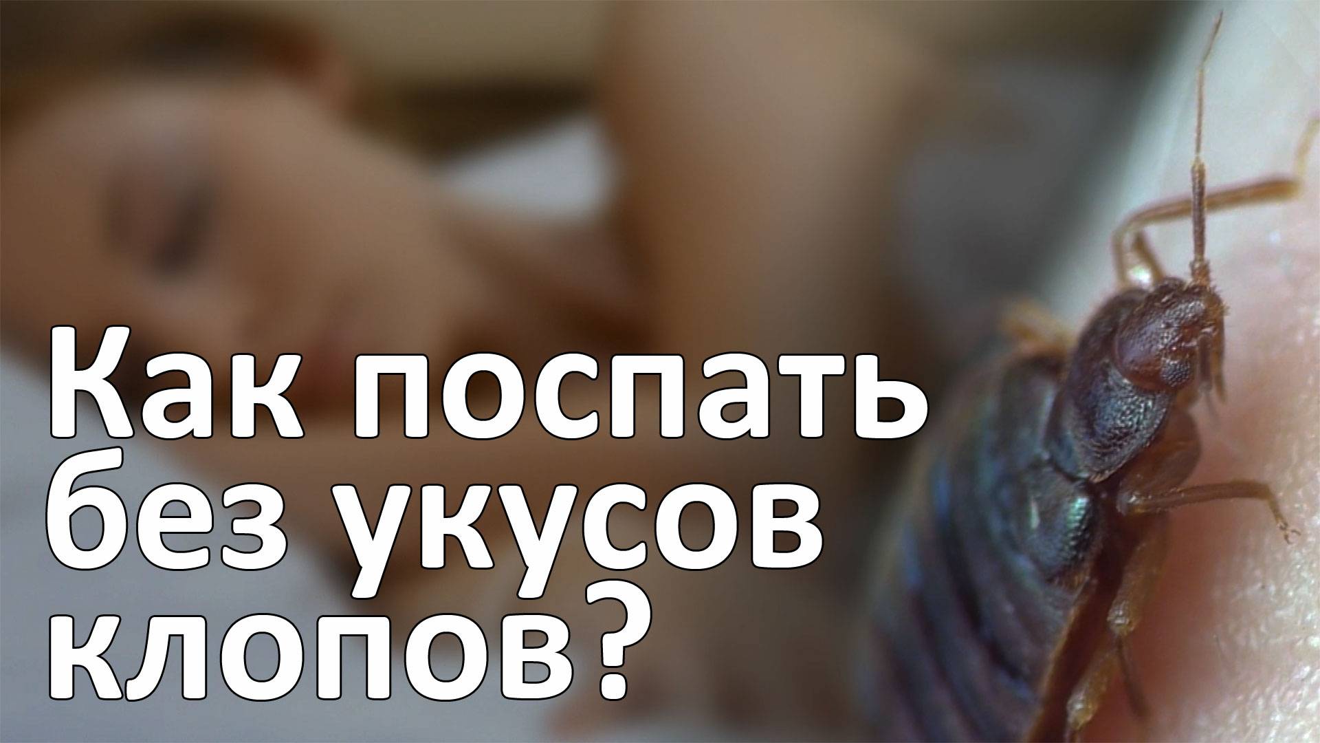 Как защититься от клопов, чтобы они не покусали во время сна?