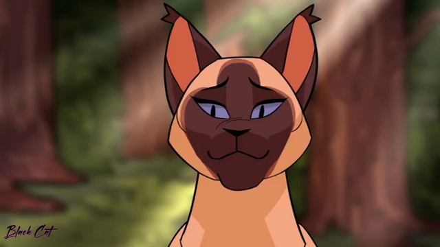 Клип Коты Воители Звездоцап и Саша_Cat Warrios Tigristar and Sasha_•Прощай•√🖤Black Cat𓃠√ (360p) (1
