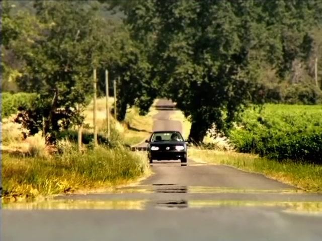 1.02 Букашки. Муравьи