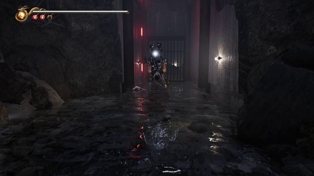 NINJA GAIDEN 2 BLACK  2025#4