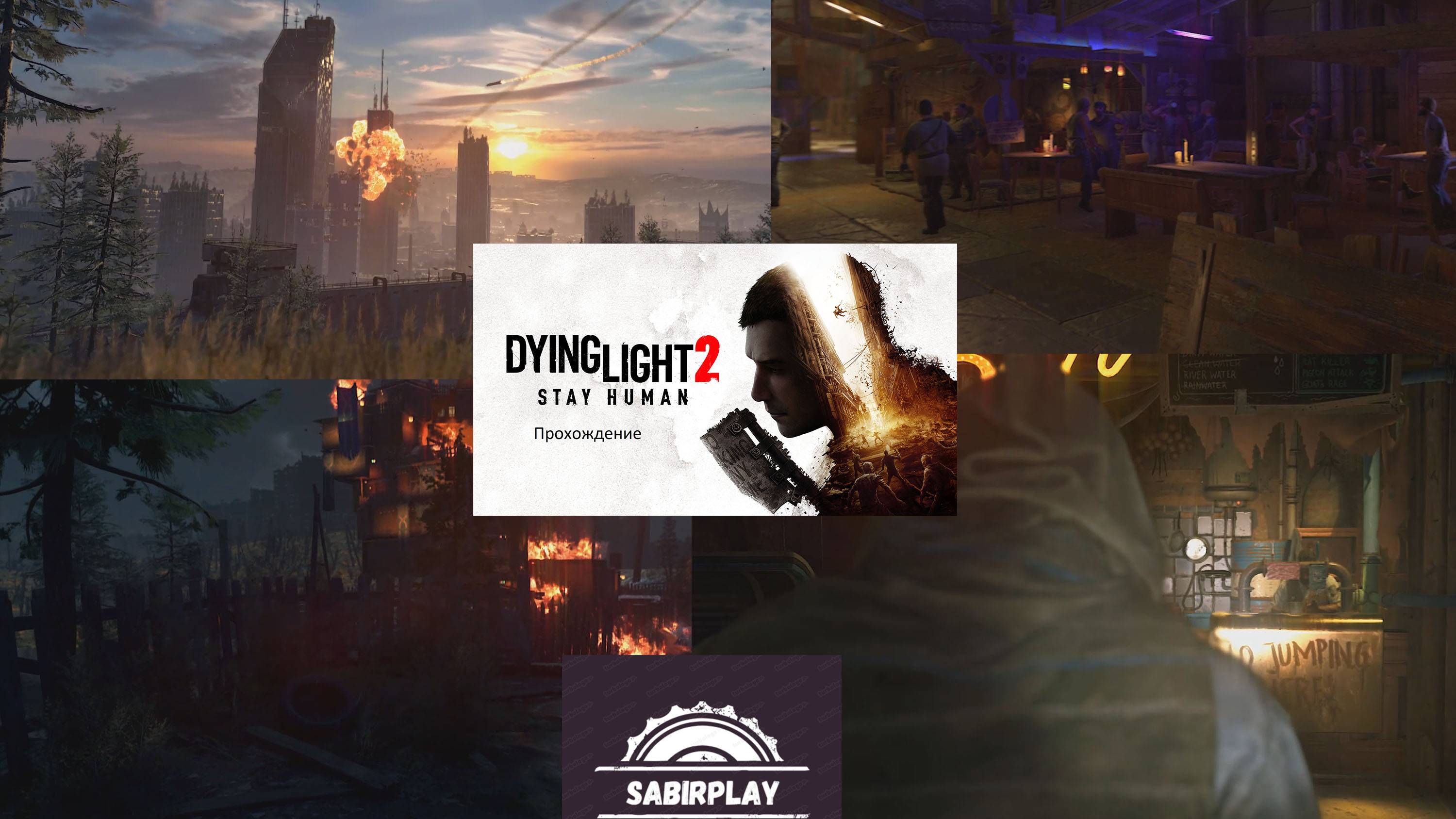 35 Dying Light 2 Stay Human  Ветряк Вяз