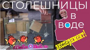 Какую столешницу выбрать?