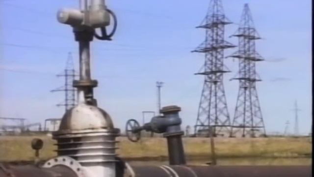 1995 Мегион  Крик журавля