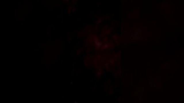 проверяем тетради по русскому языку 2в