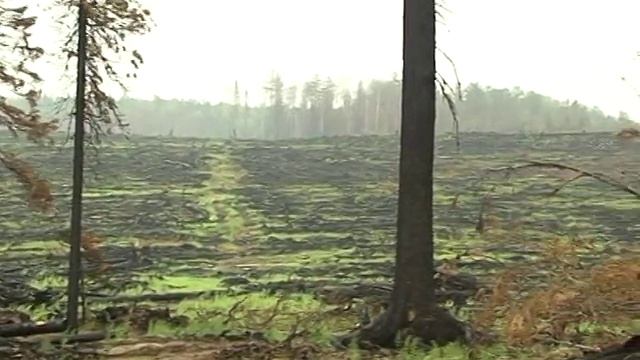 2012 08 03  Мегион    Лесной пожар на Аганском месторождении
