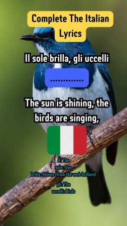 Ciao, ciao