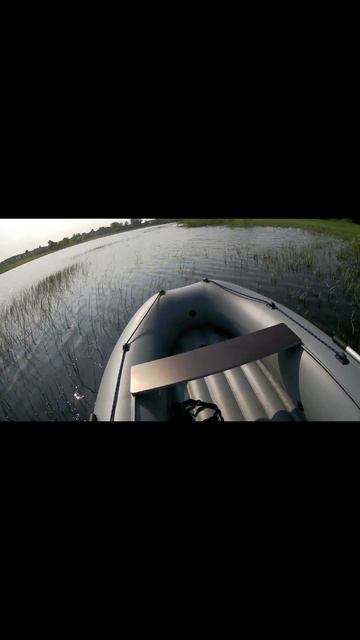 Longtail SPS-2 Косим траву #shorts