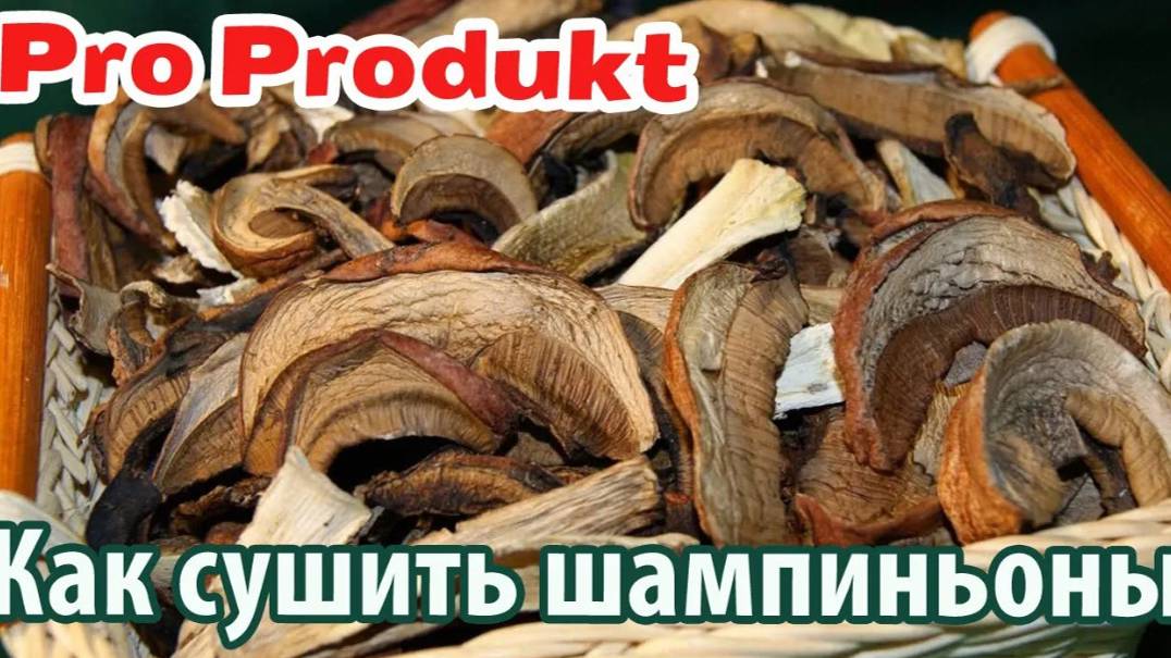 Как сушить шампиньоны