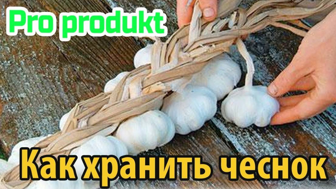 Как хранить чеснок