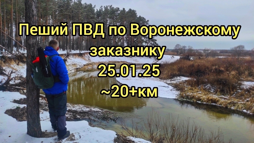 Пеший ПВД по Воронежскому заказнику 25 января 2025 года