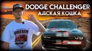 Адская кошка Dodge Challenger