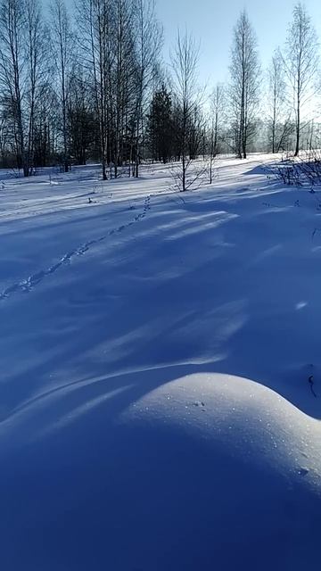 Под голубыми небесами...