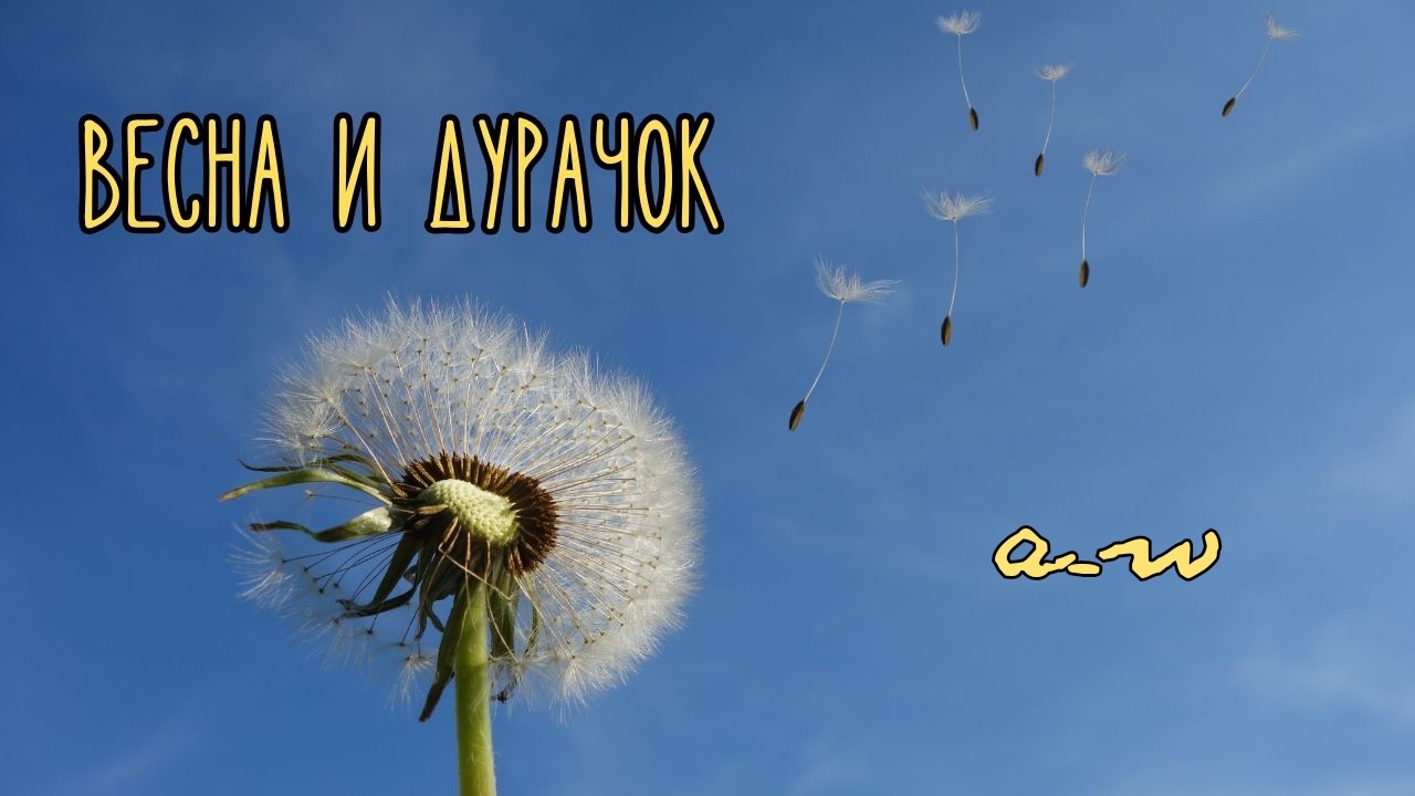 аНДРЕЙ жАБИН - Весна и дурачок