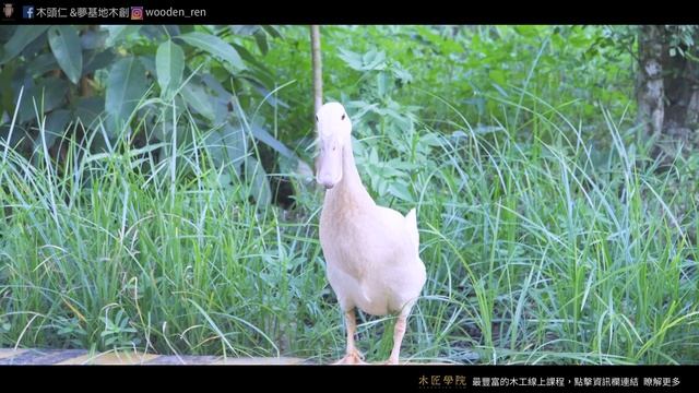 Как сделать лук из Ротанга