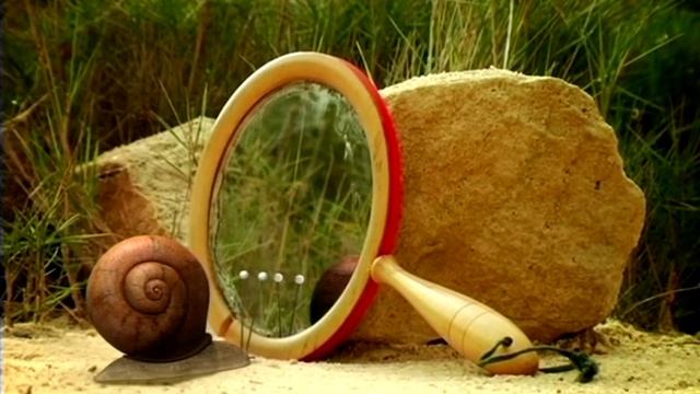 07 - Самовлюбленный жук