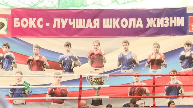 2021.05.17  Мегион   Бокс