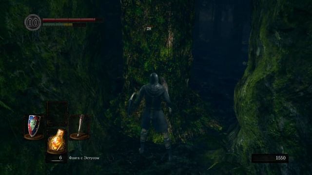 Dark Souls - Сад Темных Корней
