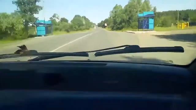 Позитивные пешеходы в Колпашево!